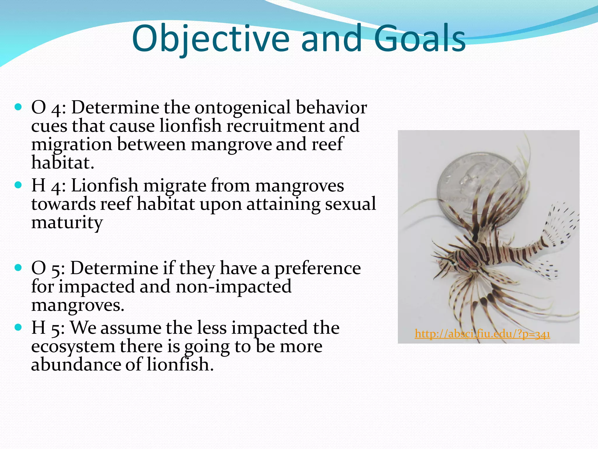 Predation, habitat use and impact of Pterois | PDF | Zoos & Aquariums ...