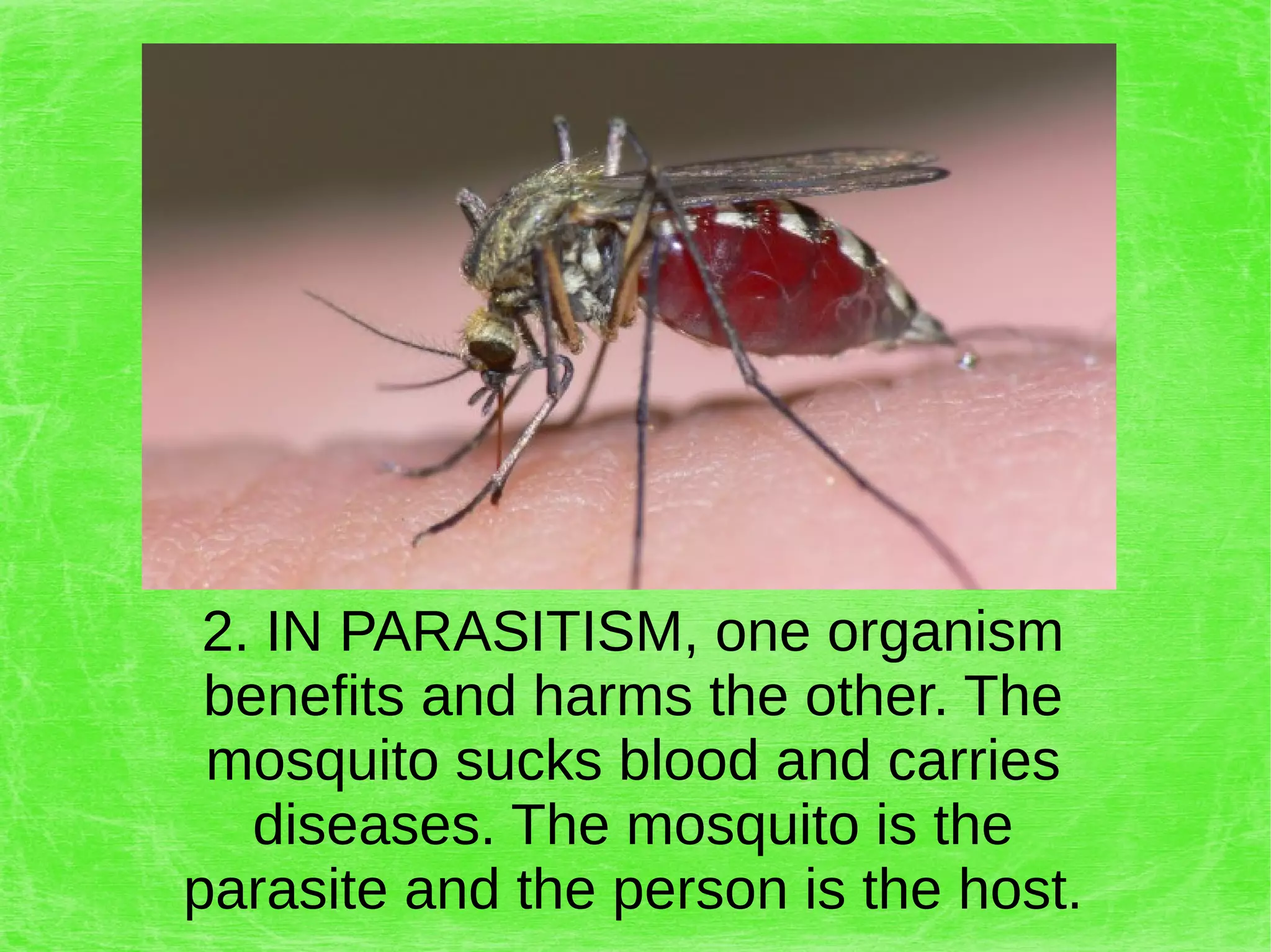 Predation, parasistism, mutualism and commensalism. | PDF