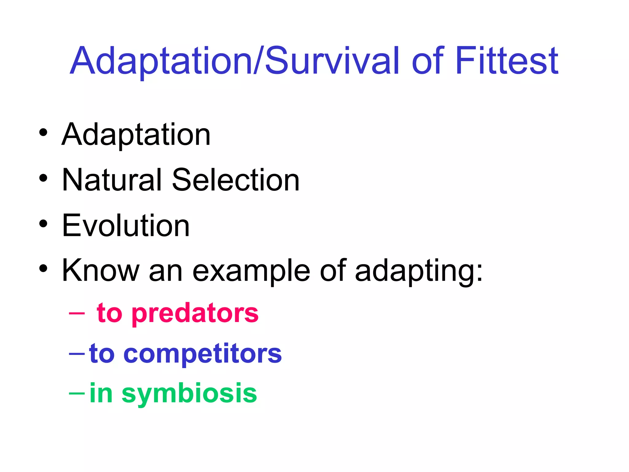 Predator prey! | PPT