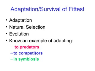 Predator prey! | PPT