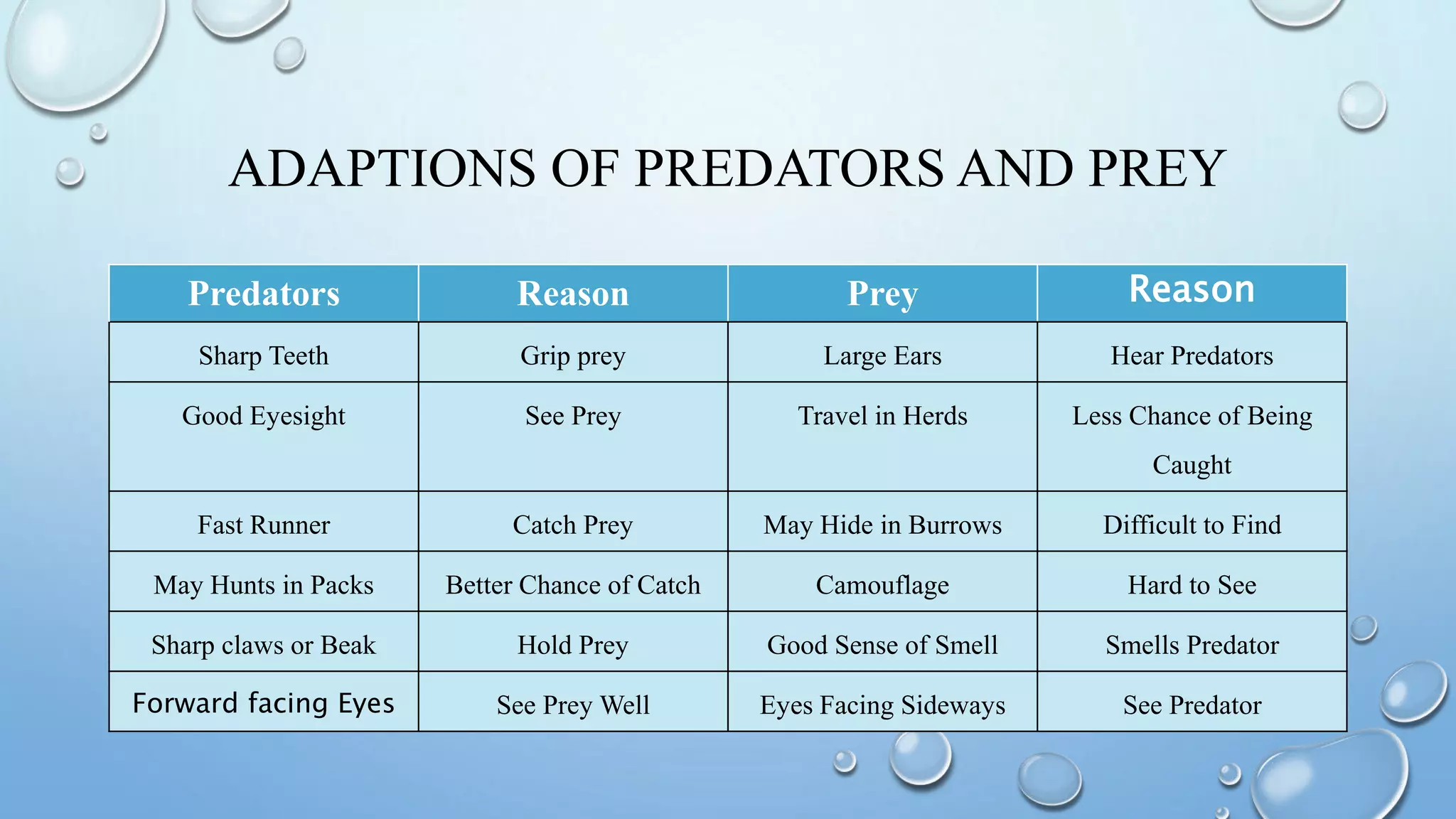 predator and prey relationship.pptx
