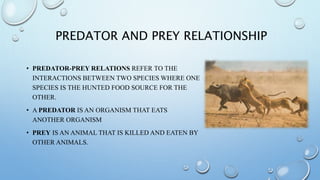 predator and prey relationship.pptx