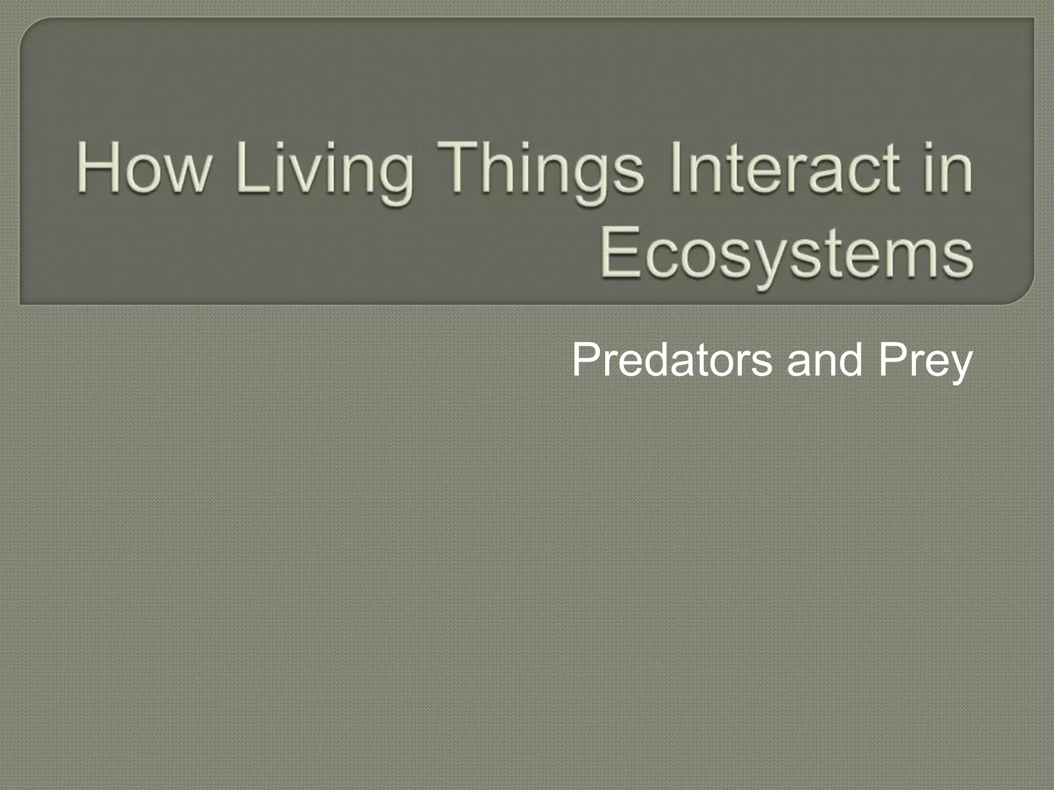 Predator prey competition | PPTX