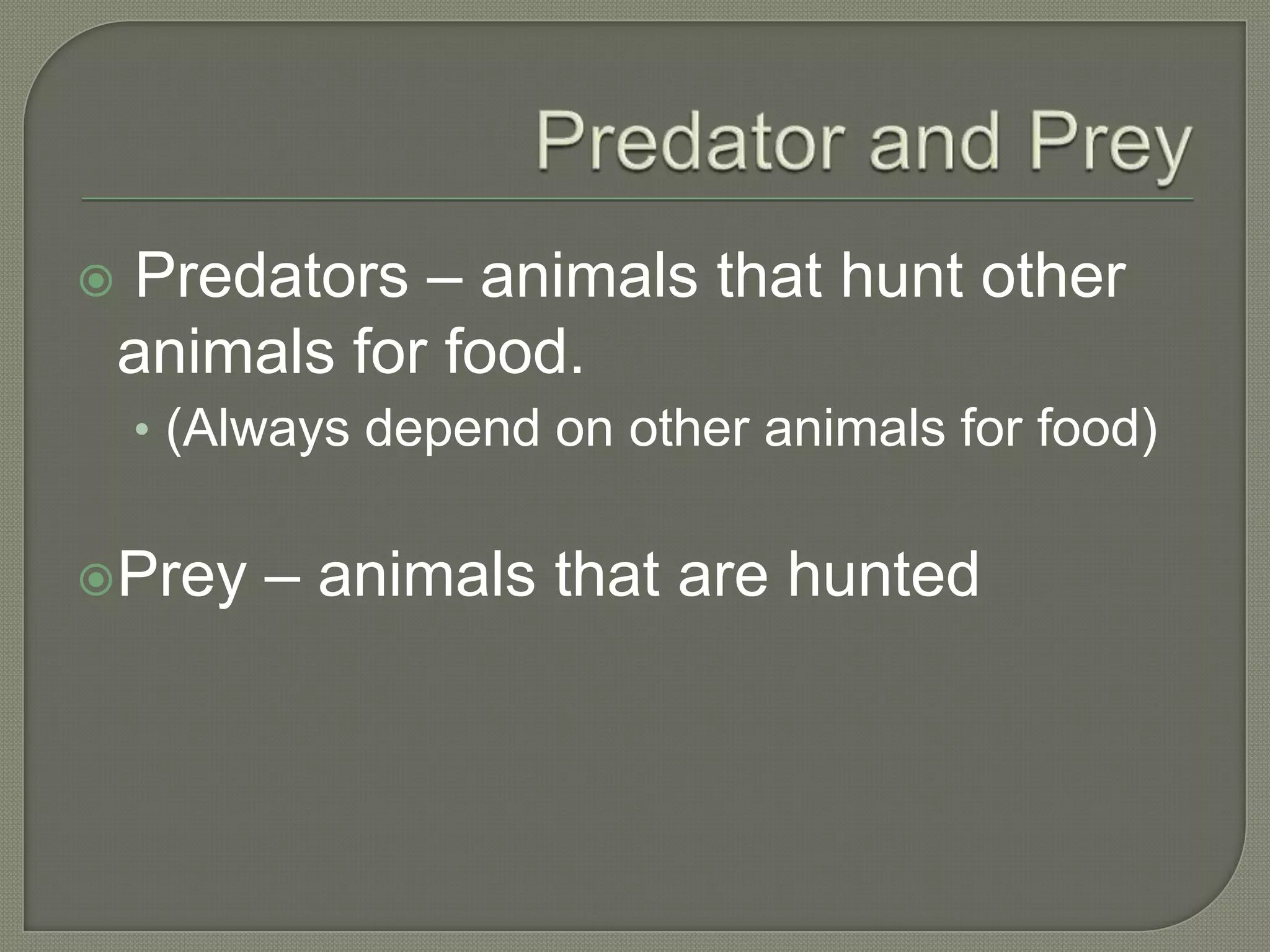 Predator prey competition | PPTX