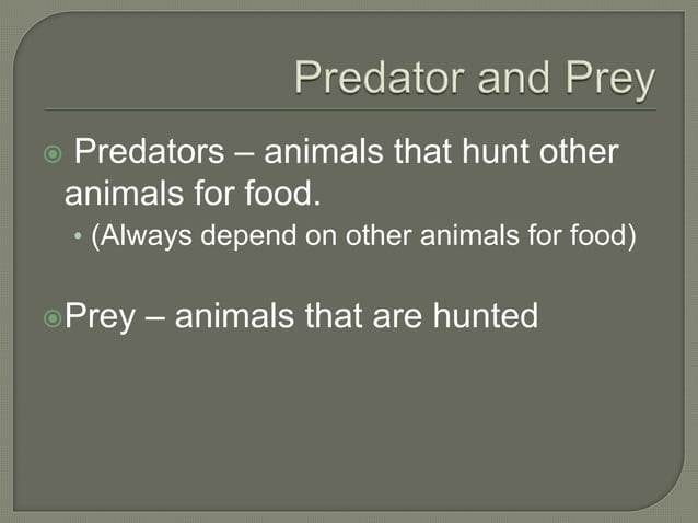 Predator prey competition | PPT