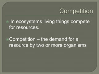 Predator prey competition | PPTX