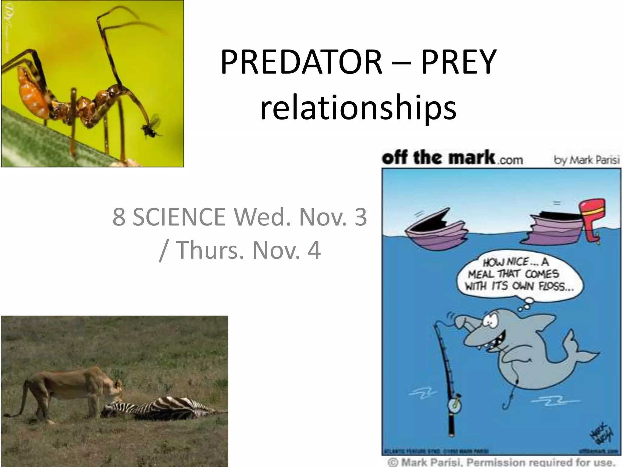 Predator – prey relationships | PPTX