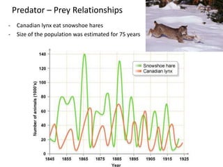 Predator And Prey Relationship