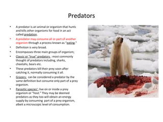 Predators | PPT