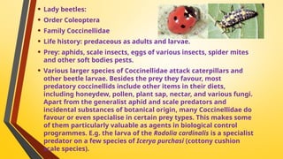 predators as one of the biological control.pptx