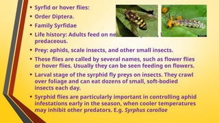 predators as one of the biological control.pptx