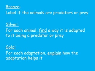 Predators or prey.pptxpptpptpptpptpptppt | PPT