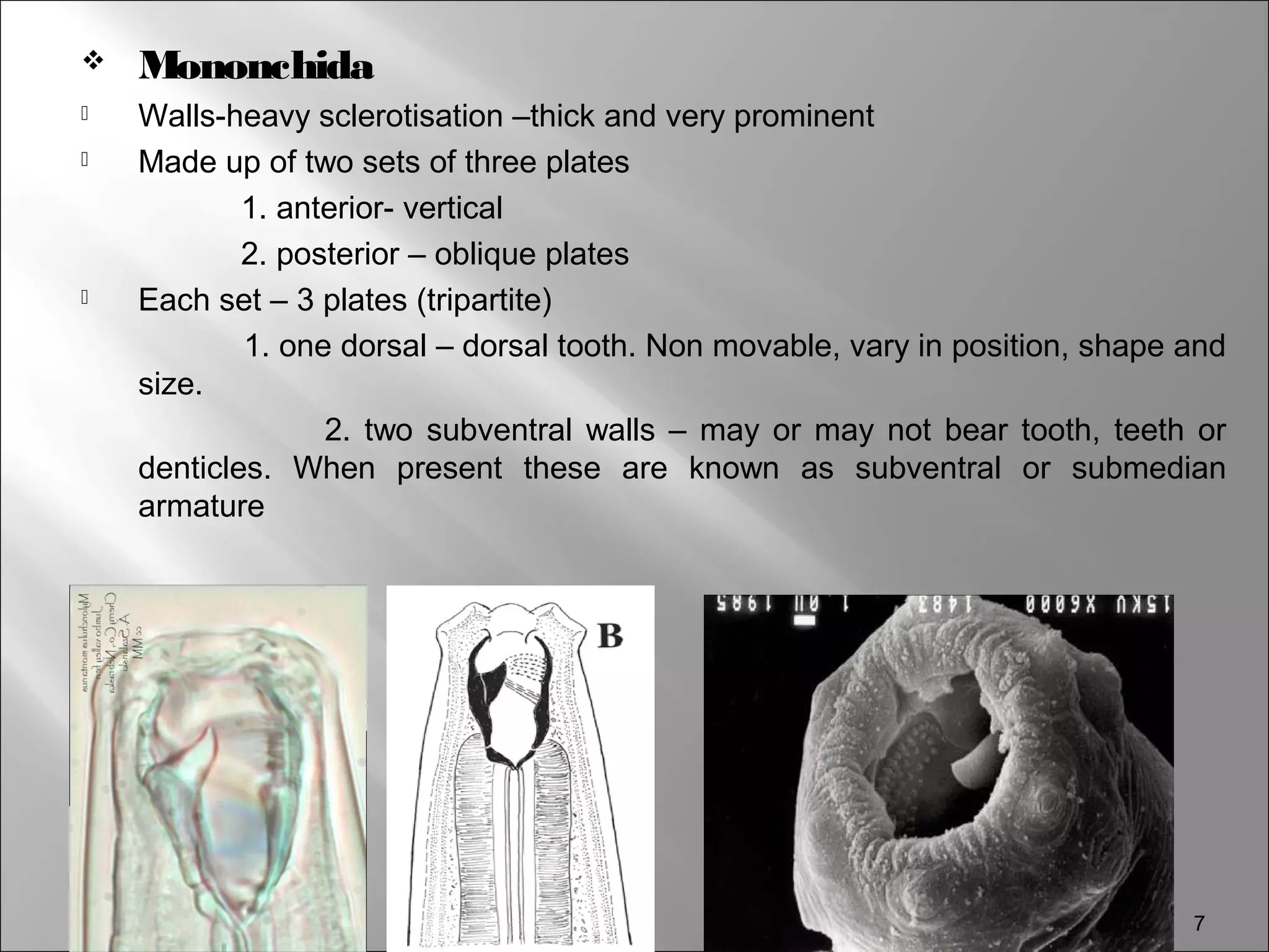 Predatory nematodes by AALIYA TAIYAB | PPT