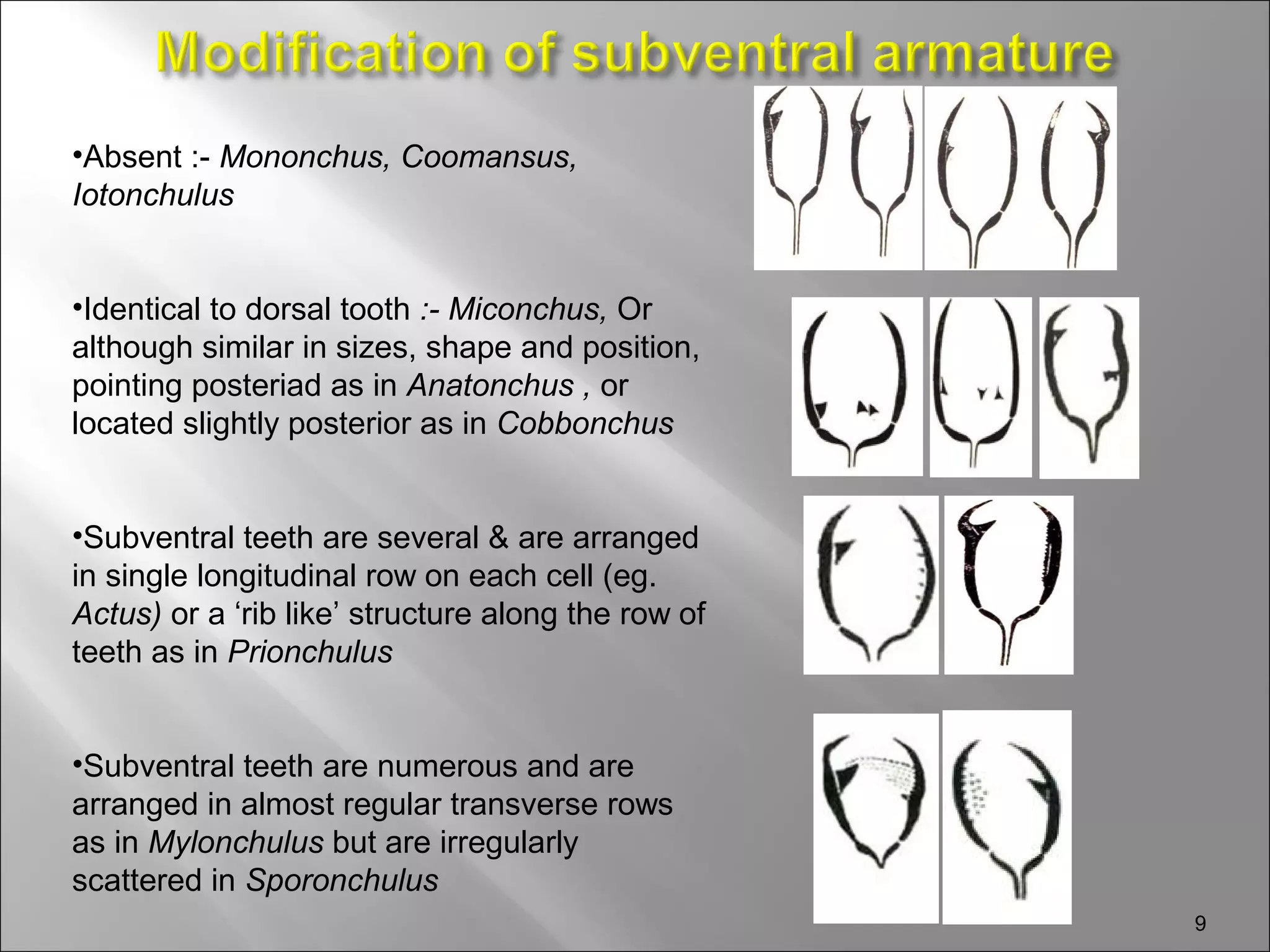 Predatory nematodes by AALIYA TAIYAB | PPT