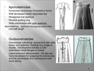 Predatory nematodes by AALIYA TAIYAB | PPT