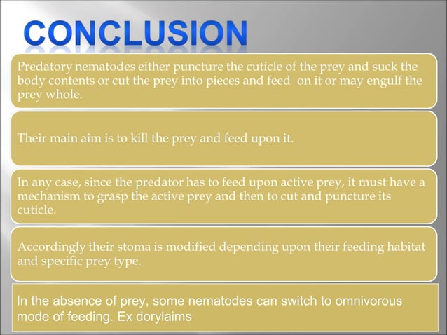 Predatory nematodes by AALIYA TAIYAB | PPT | Geology | Science
