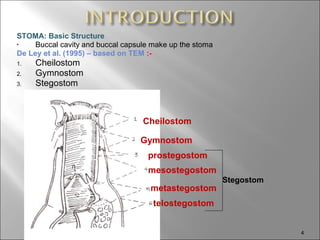 Predatory nematodes by AALIYA TAIYAB | PPT