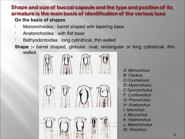 Predatory nematodes by AALIYA TAIYAB | PPT | Geology | Science