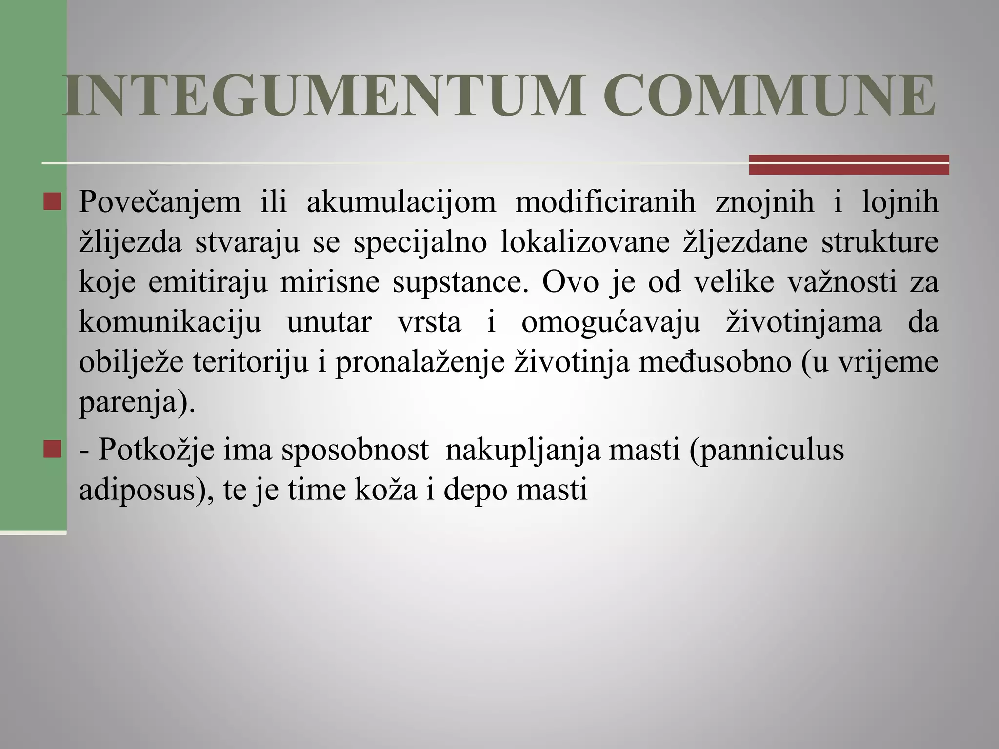 Predavanje integumentum communae.ptt pamela | PPTX