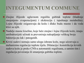 Predavanje integumentum communae.ptt pamela | PPTX