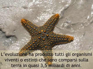 Prede e predatori | PDF