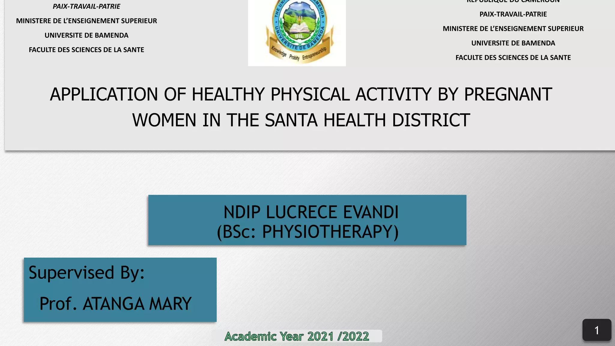 pre defense ppt.pptx