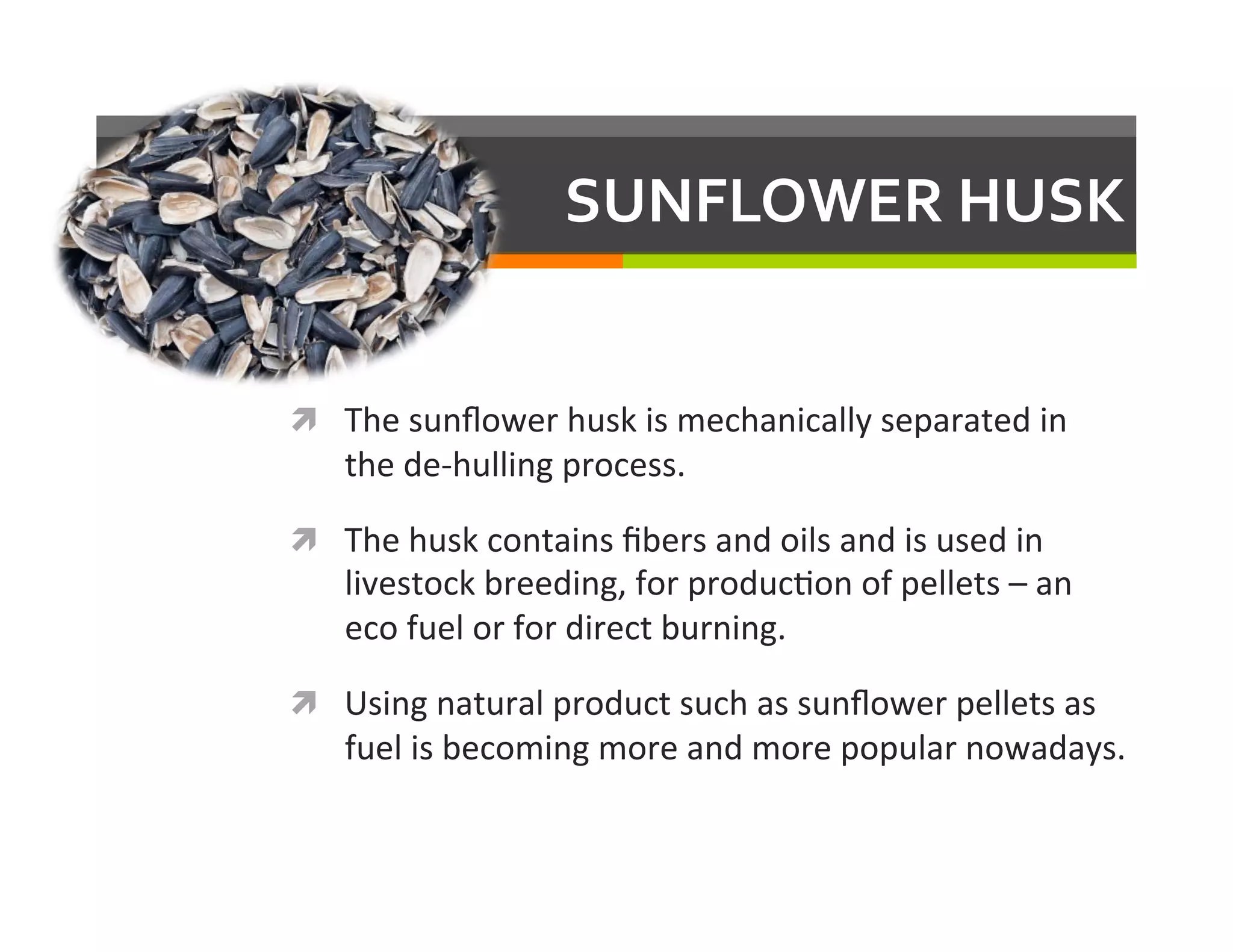Predel Sunflower Kernel | PPT