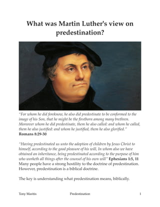 Predestination | PDF