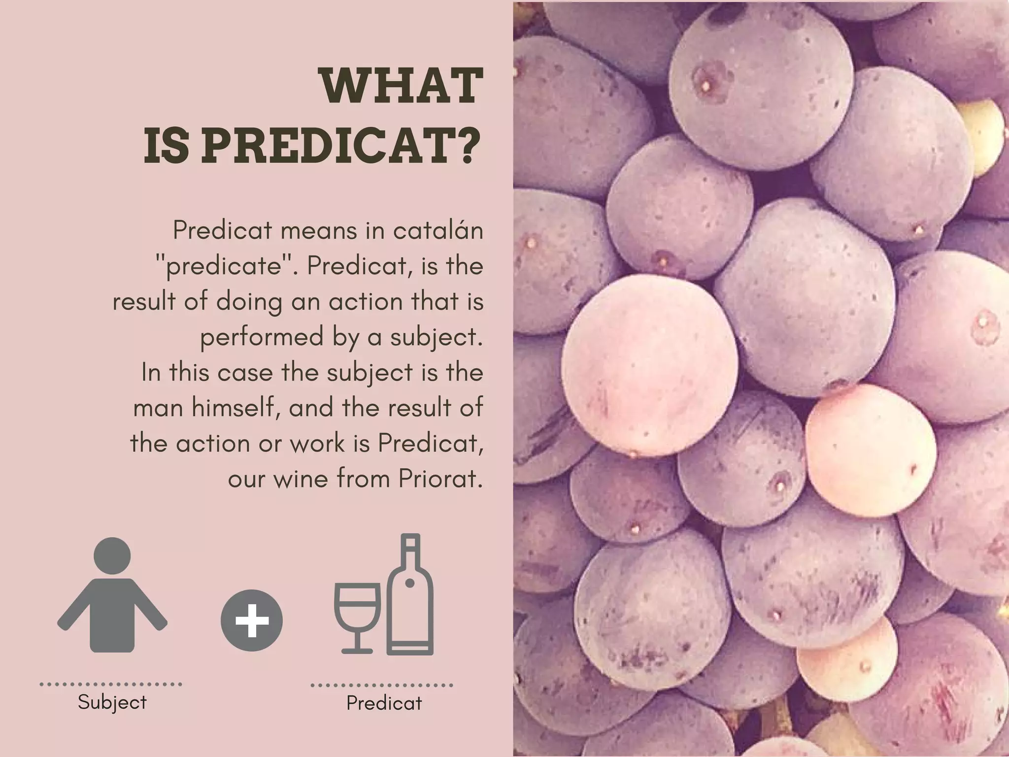 Predicat presentacion 2014 | PPT