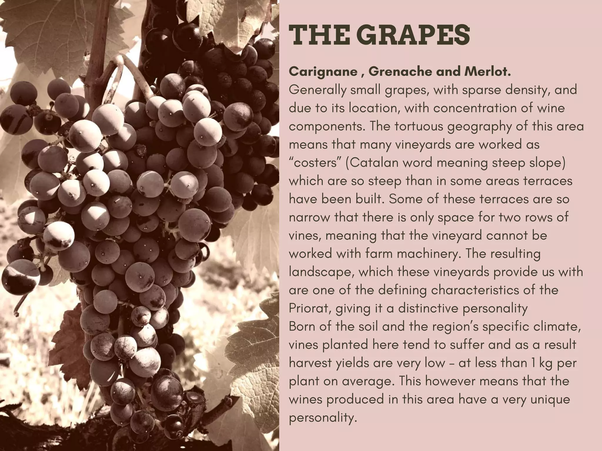 Predicat presentacion 2014 | PPT