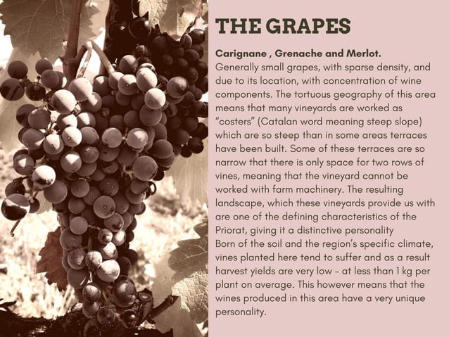 Predicat presentacion 2014 | PPT