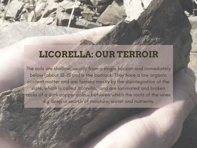 Predicat presentacion 2014 | PPT