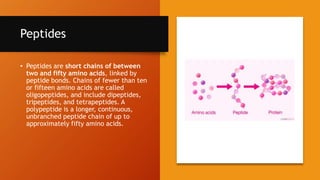 Predict activity of short antimicrobial peptides | PPTX