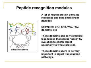Predicting SH3 Protein-protein interactions | PPT