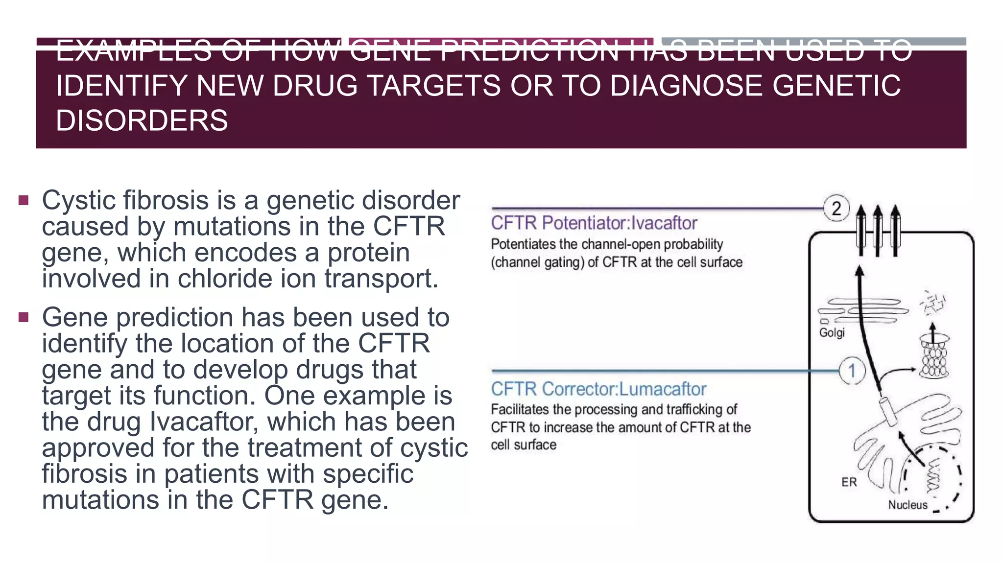 Prediction Of Different Features Of A Functional Gene Pptx
