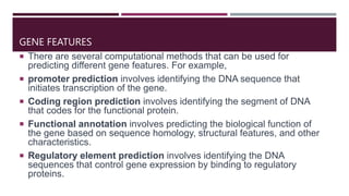 Prediction of different features of a functional gene.pptx