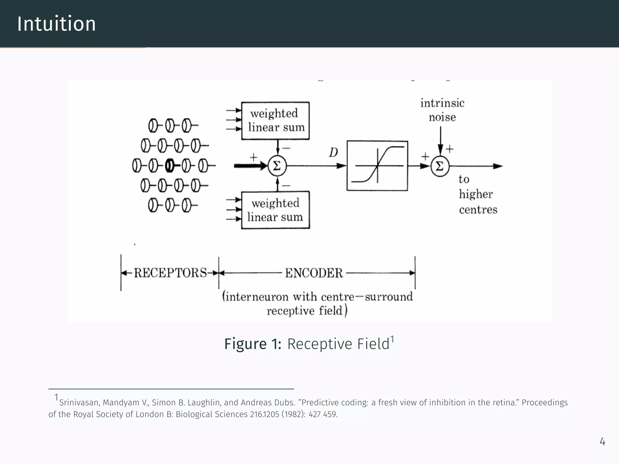 Predictive Coding Inhibition In The Retina Ppt