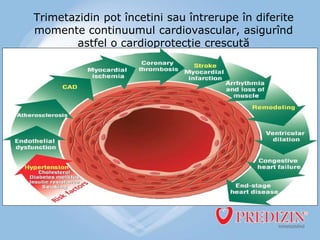 PREDIZIN_rom - modificat 2.ppt