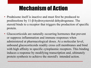 Prednisone as antitumor (anticancer) | PPT