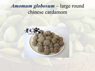 CROP IMPROVEMENT OF CARDAMOM breeding | PPTX