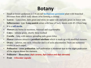 CROP IMPROVEMENT OF CARDAMOM breeding | PPTX
