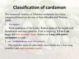 CROP IMPROVEMENT OF CARDAMOM breeding | PPTX
