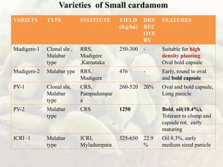 CROP IMPROVEMENT OF CARDAMOM breeding | PPTX