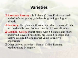 CROP IMPROVEMENT OF CARDAMOM breeding | PPTX