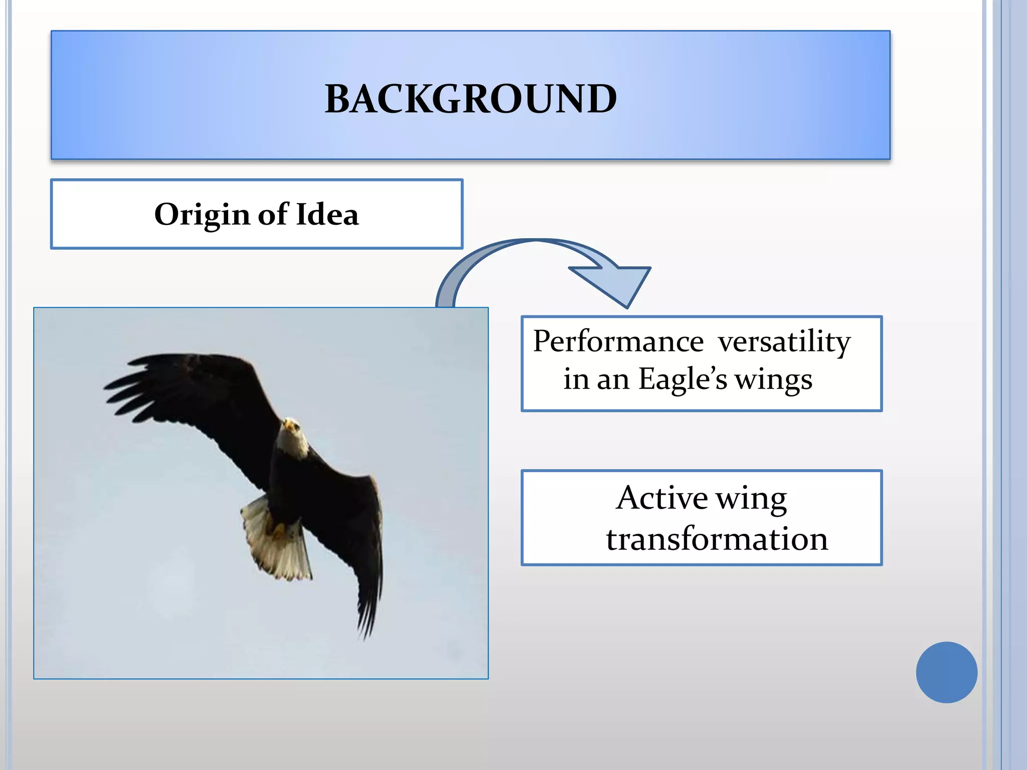 morphing wings | PPSX