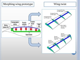 morphing wings | PPSX