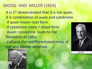 History Of Plant Tissue Culture | PPTX