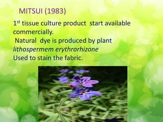 History Of Plant Tissue Culture | PPTX