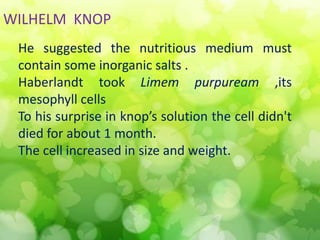 History Of Plant Tissue Culture | PPTX