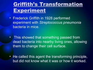 DNA recombination in prokaryotes | PPT